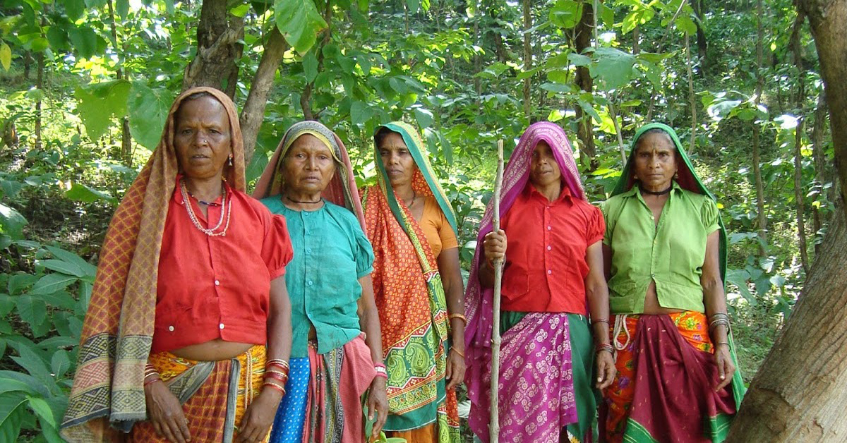 आदिवासियों और वनवासियों के साथ फिर हुआ धोखा | CJP