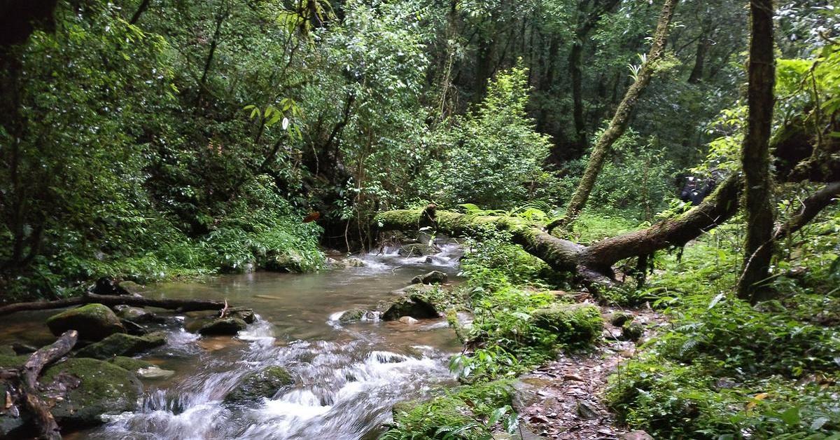 Forest (Conservation) Amendment Bill: North-east to bear the brunt | CJP